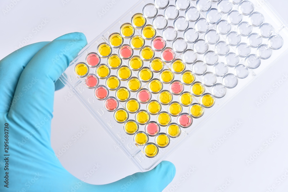Enzyme-linked immunosorbent assay or ELISA plate, Immunology testing ...