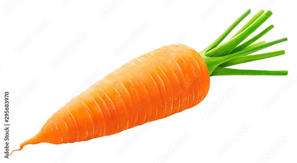 One whole carrot isolated on white background Stock Photo | Adobe Stock