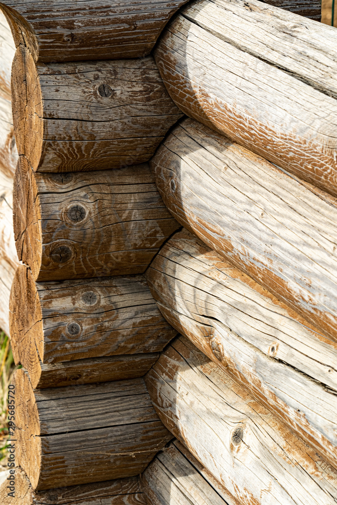 wooden log corner of the house. log wall. light wooden wall ...