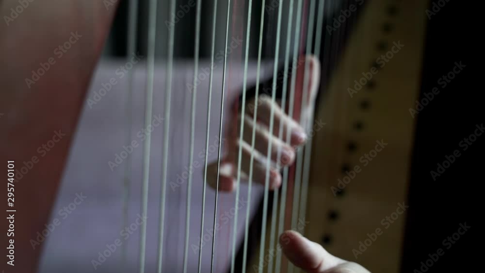 Close up of musician fingers on strings, harpist playing classical ...