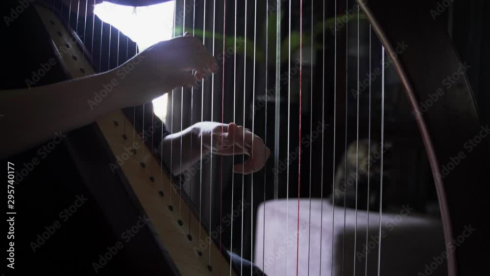 Close up of musician fingers on strings, harpist playing classical ...