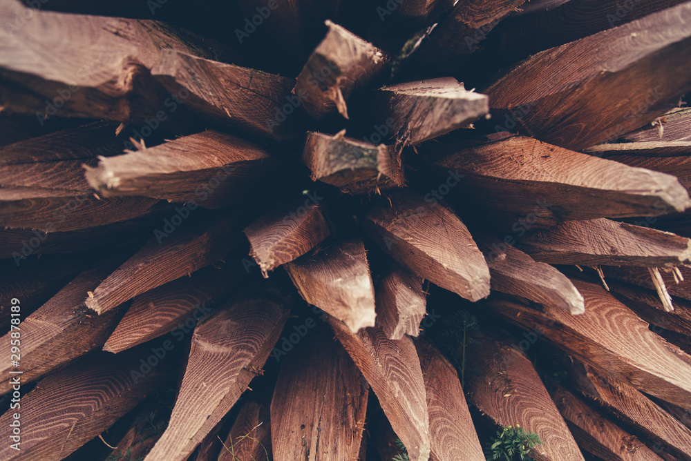 des pieux en bois pointus entassés pour l'agriculture tuer Dracula ...