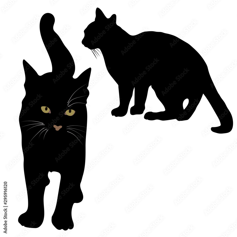 Vector silhouettes of two black cats isolated on white background ...