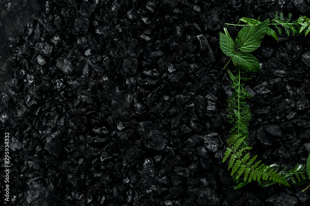 Nature concept, Frame of green twigs and leaves on a dark coal ...