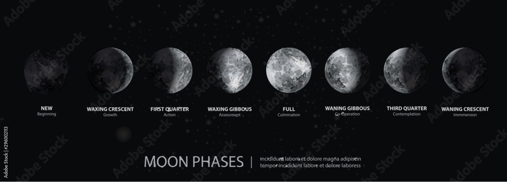 Movements of the Moon Phases Realistic Vector Illustration Stock Vector ...