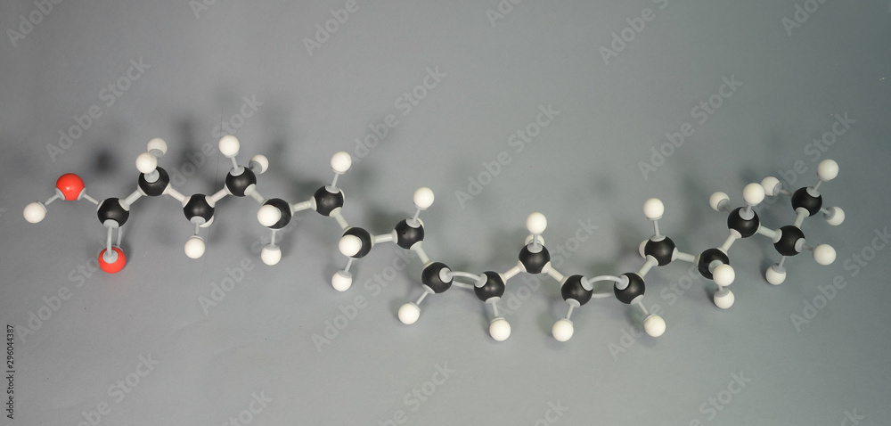Molecule model og Omega - 6 fatty acid. White is Hydrogen, black is ...