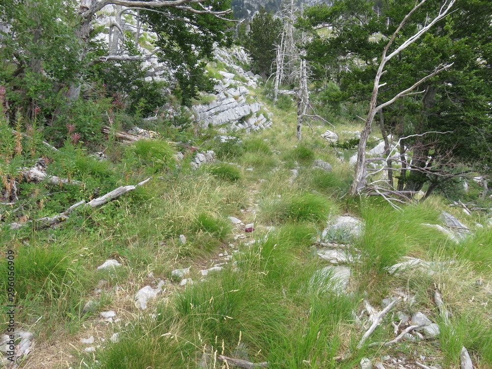 Mountain Orjen Montenegro remains of old hiking stone trail built by ...