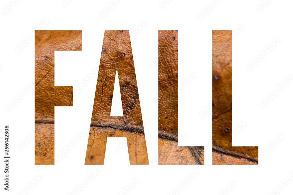 Fall Word Filled with Brown Leaf Texture, Fall Concept Isolated on ...
