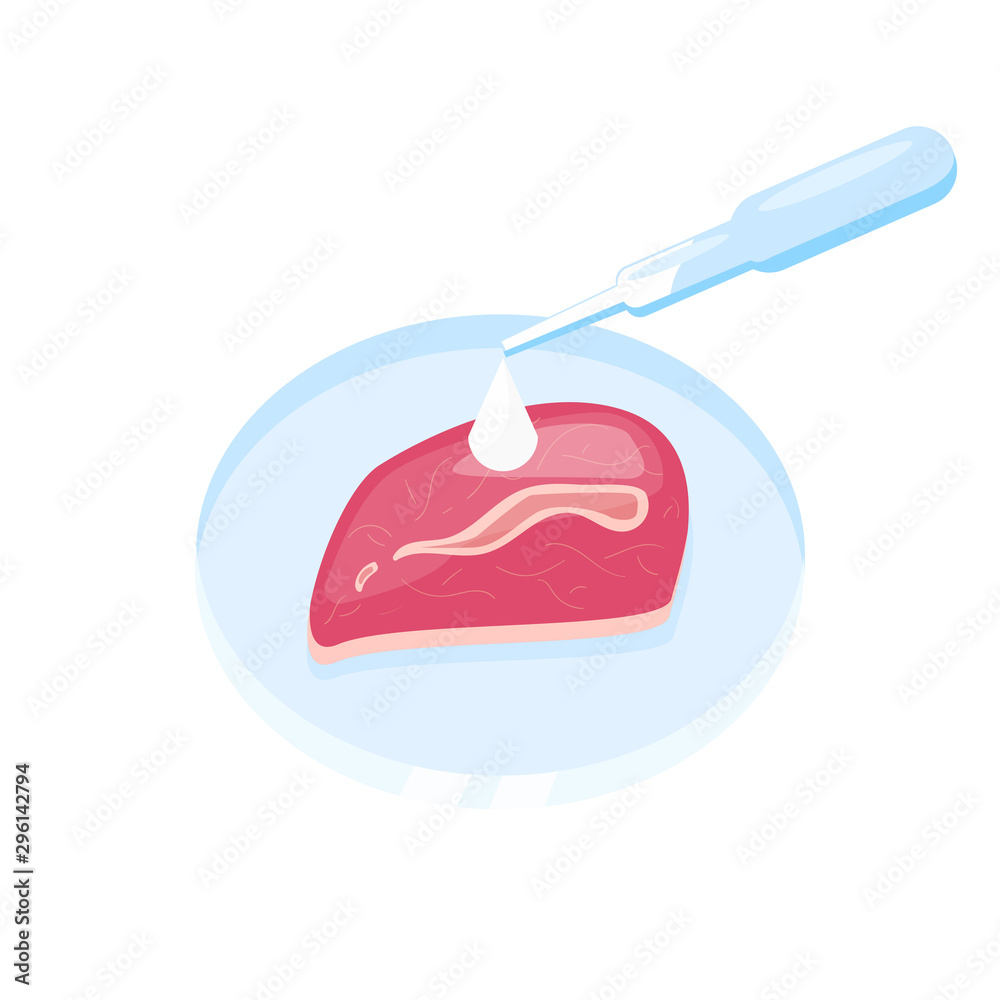 lab grown meat Stock Vector | Adobe Stock