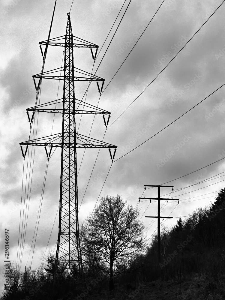 Strommast im Wald Stock Photo | Adobe Stock