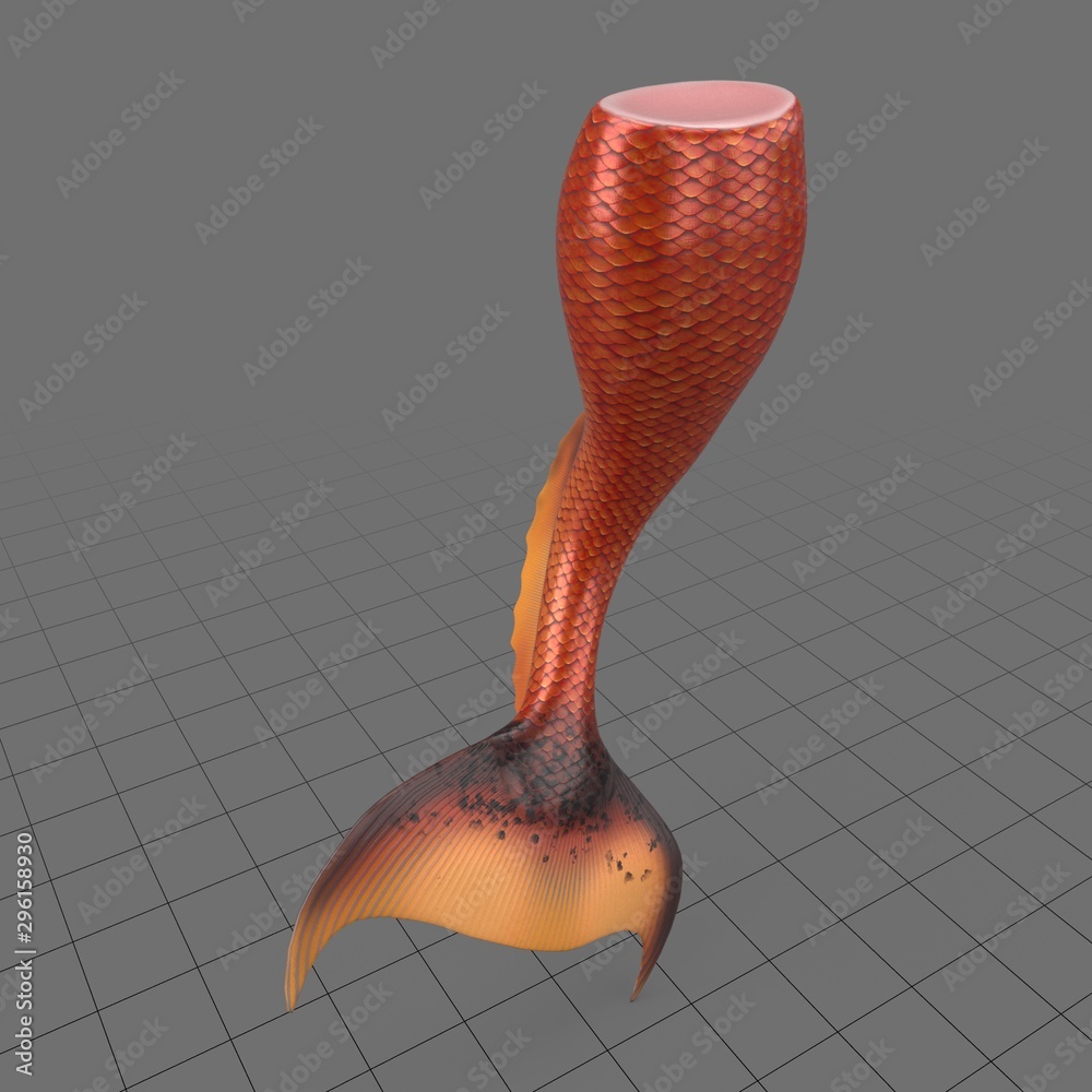 Mermaid tail 4 Stock 3D asset | Adobe Stock