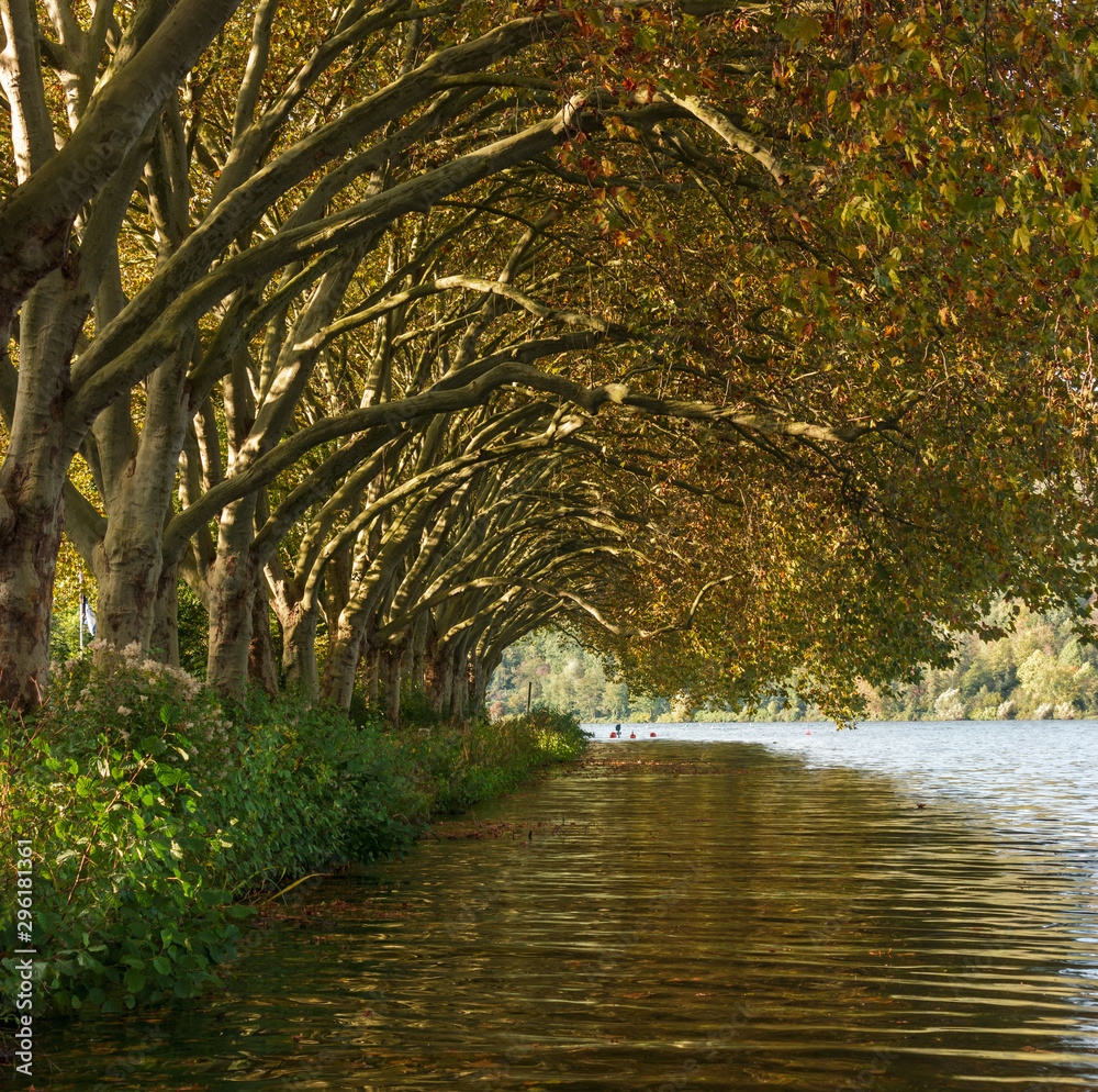 Trees and path along the shoreline of Baldeneysee reservoir near Essen ...