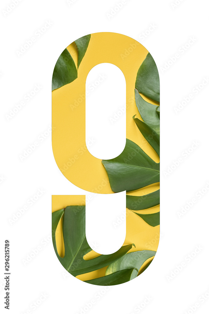Tropical flower font number 9 made of real alive flowers monstera on ...