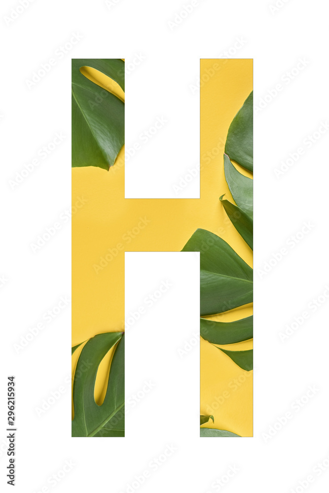 Flower font Alphabet H made of Real alive flowers monstera on yellow ...