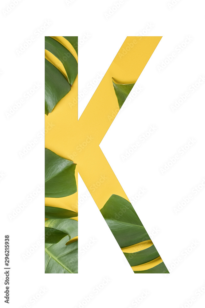 Flower font Alphabet K made of Real alive flowers monstera on yellow ...