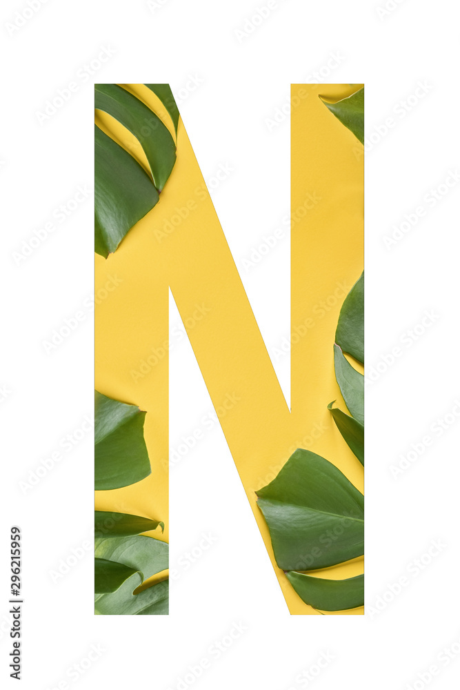 Flower font Alphabet N made of Real alive flowers monstera on yellow ...