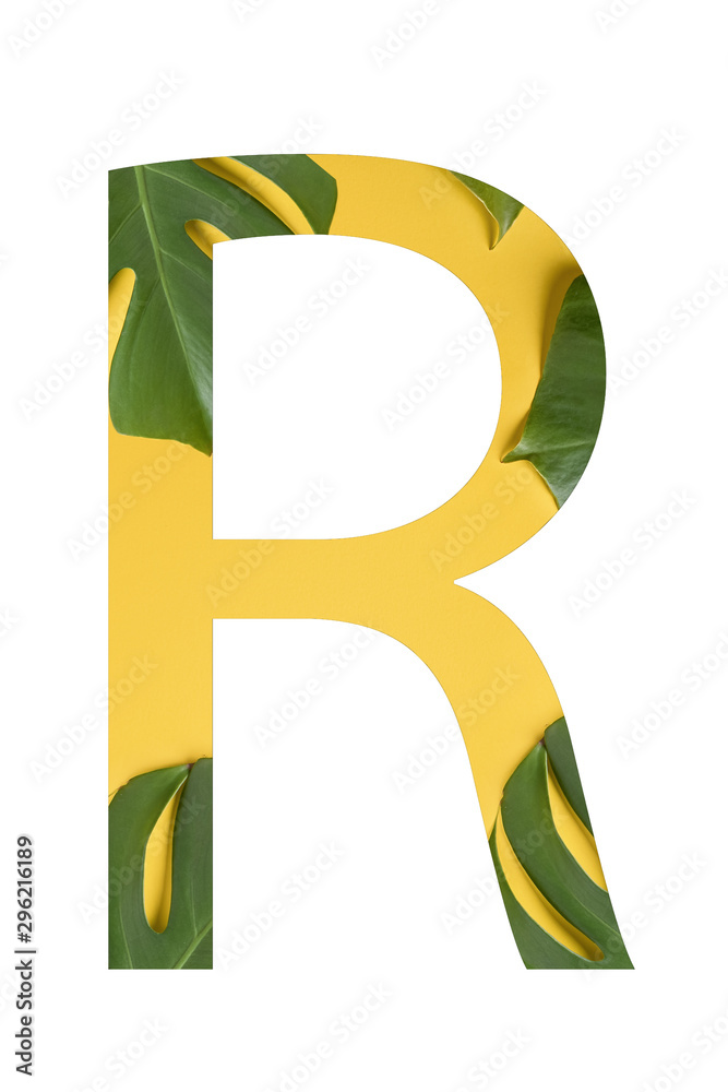 Flower font Alphabet R made of Real alive flowers monstera on yellow ...