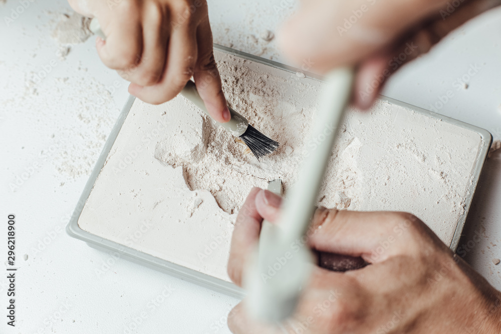 Skeleton and archaeological tools.Training for dig fossil.Simulated ...