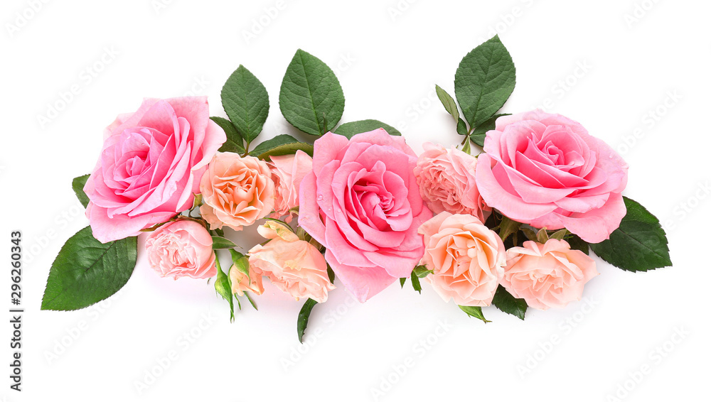 Beautiful rose flowers on white background Stock Photo | Adobe Stock