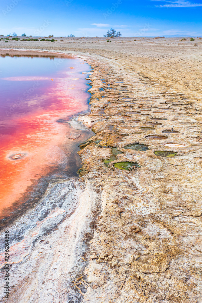Bright red water in the lake due to a red algae bloom. Also, some ...
