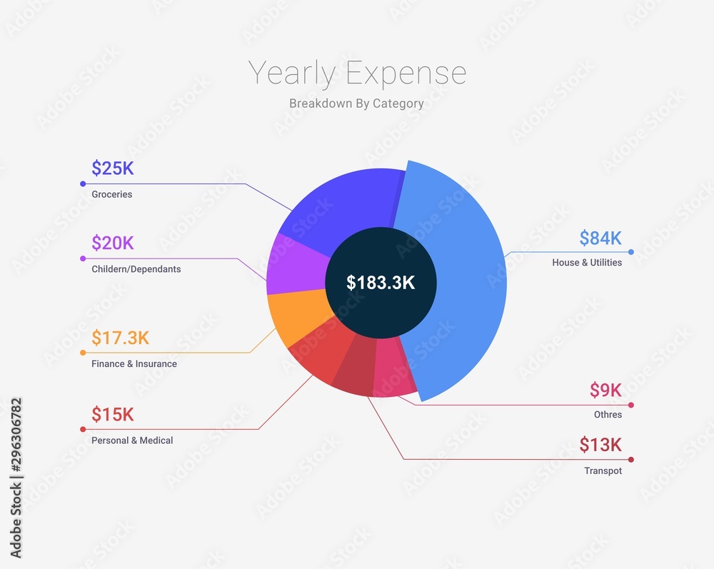 Domestic yearly expenses breakdown chart on white isolated background ...