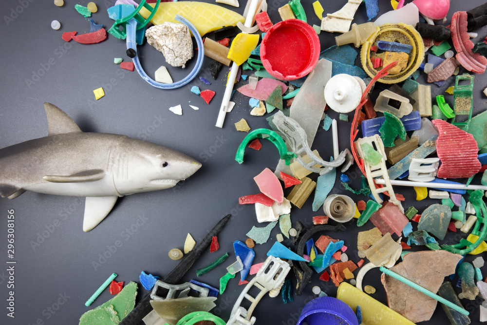 Toy shark and microplastics collected on the beach. Plastic pollution ...