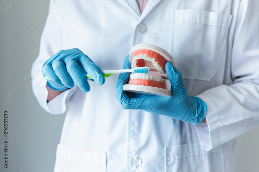 Hands of Dental Orthodontic Doctor Showing Toothbrush and Jaw Model for ...