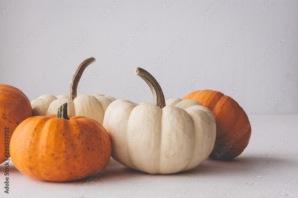 Pumpkins on isolated white background Stock Photo | Adobe Stock
