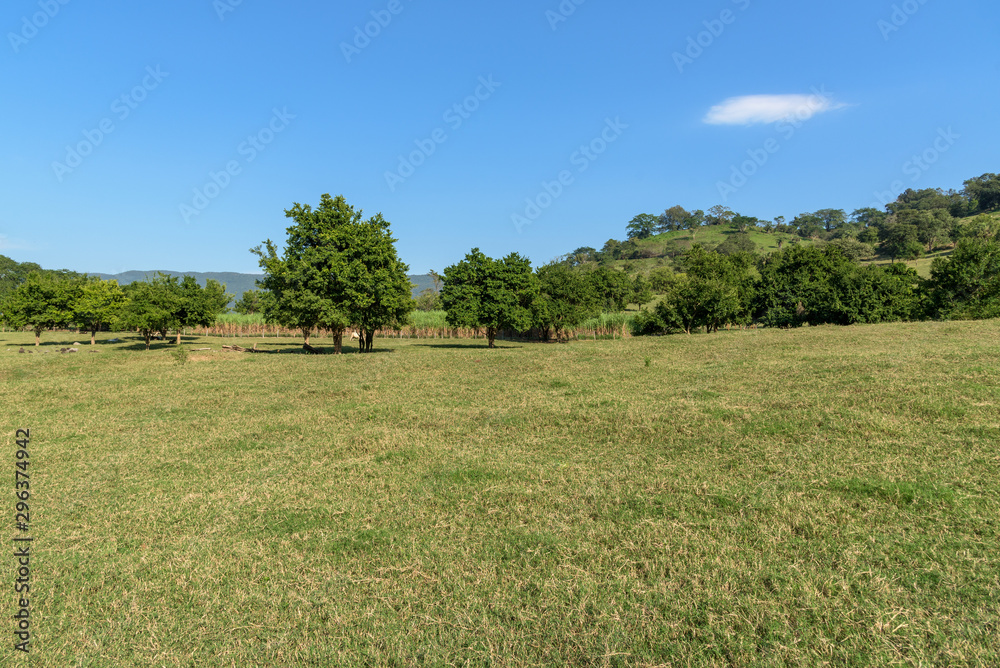 Pradera mexicana Stock Photo | Adobe Stock
