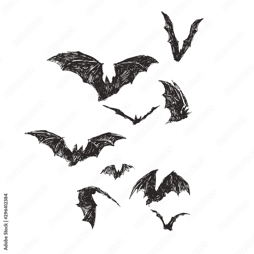 Vector hand drawn illustration with flock of bats isolated on white ...