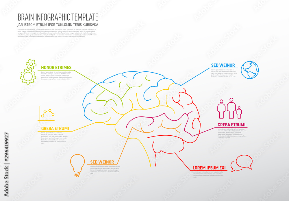 Infographic with Brain Illustration Stock Template | Adobe Stock