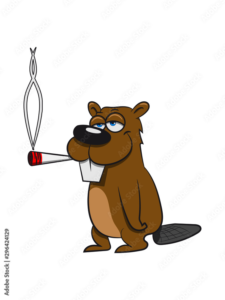 Biber joint kiffen witzig drogen Holz Damm Wasser Wald Tier Nagetier ...