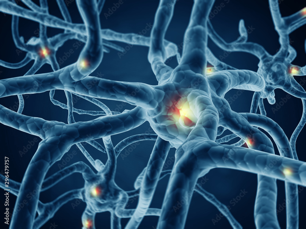 Neural network in the brain. nervous system , Neurons. 3d render. Stock ...