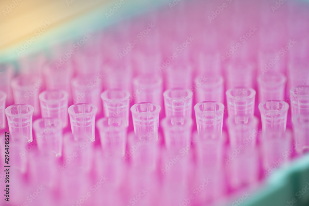 Polymerase Chain Reaction (PCR) and Agarose gel electrophoresis is a ...