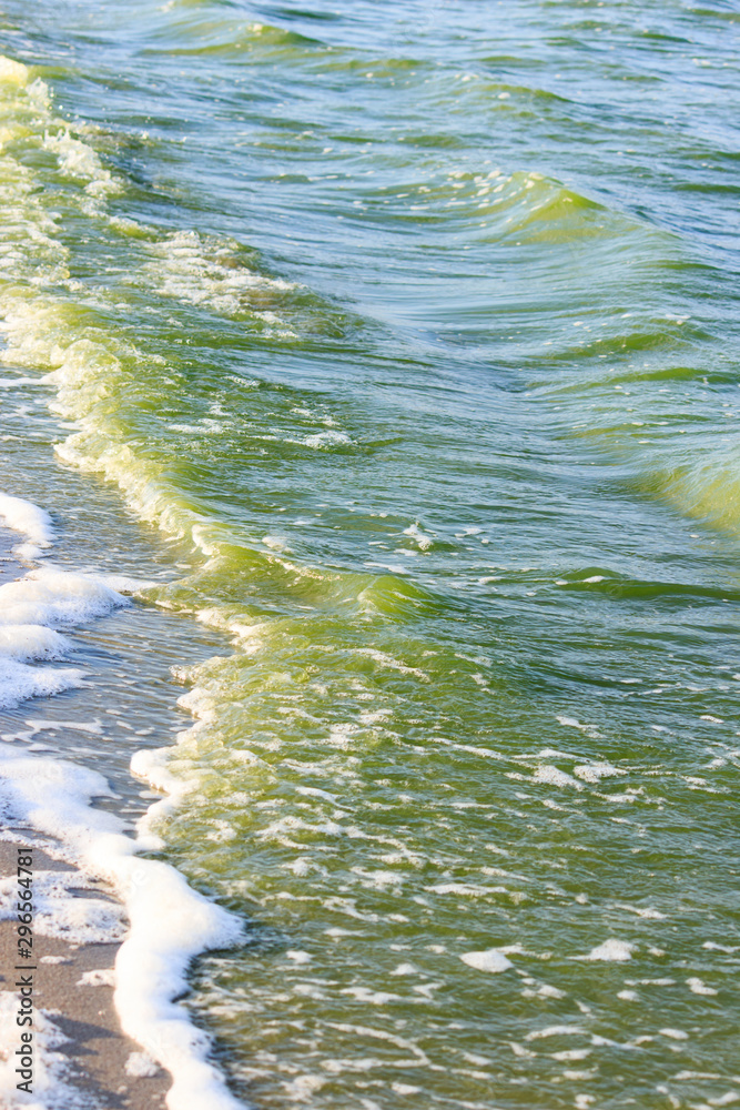 green water in the sea lagoon. the lagoon is a bay separated from the ...