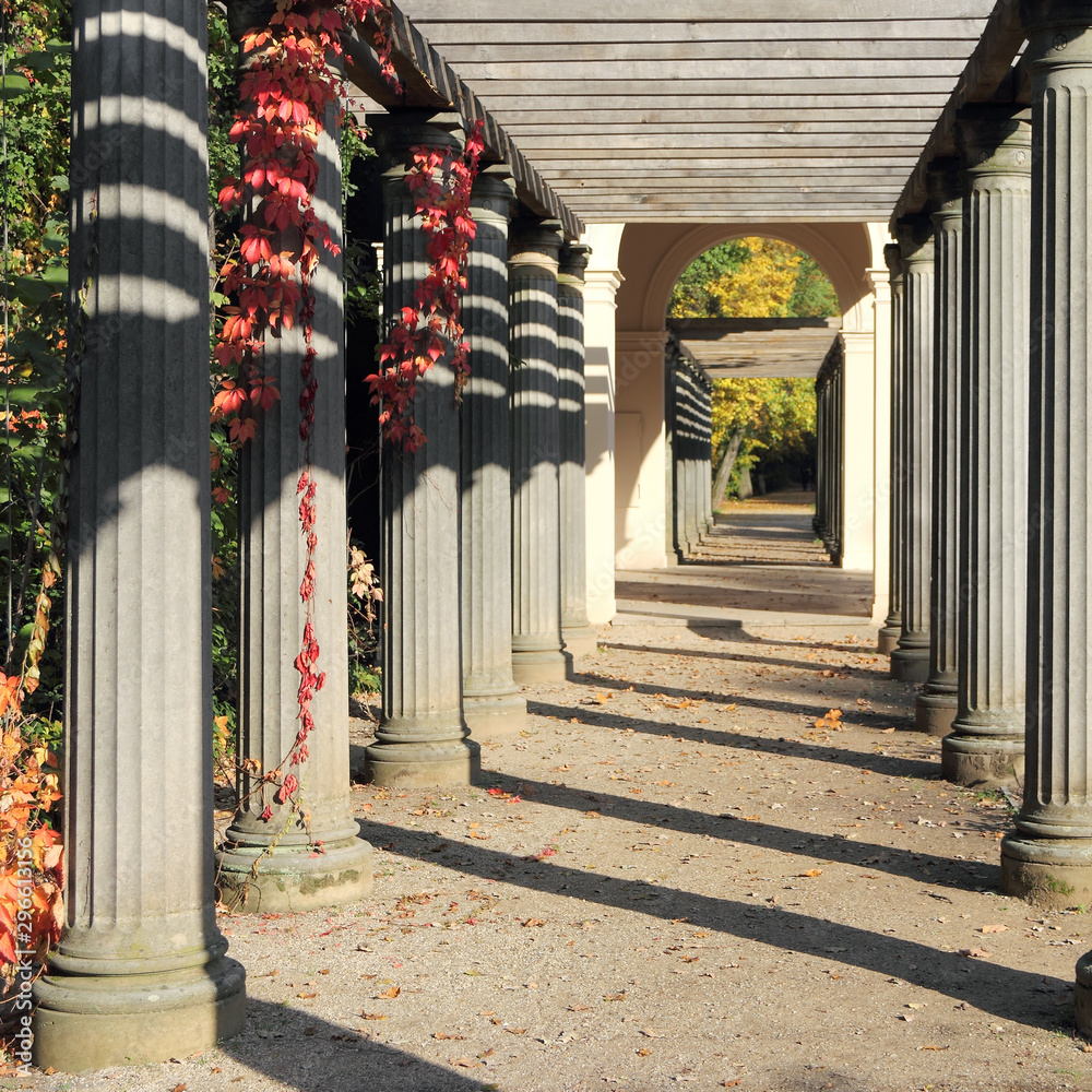 Pergola and pavilion in the Municipal park in Pankow in autumn Stock ...