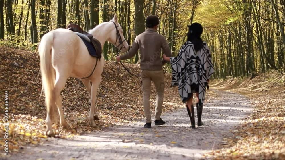 Young farmer with his wife and horse, love for horses vídeo do Stock ...