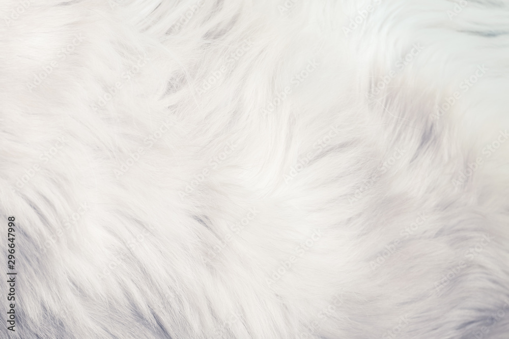 pastel soft wool texture background, cotton wool, light natural sheep ...