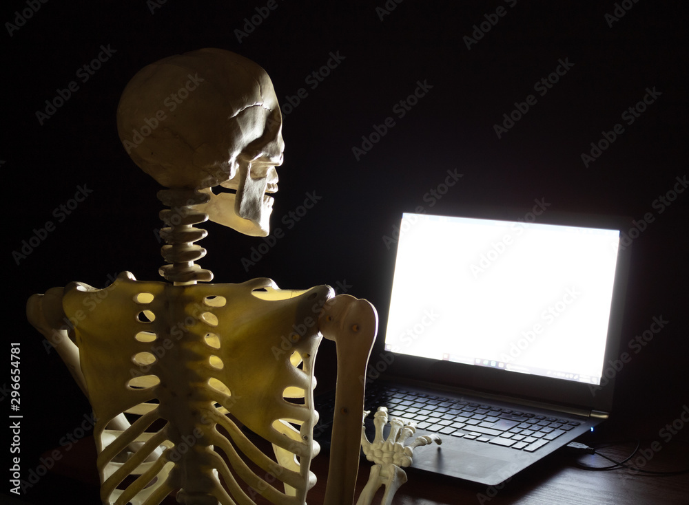 Calavera trabajando frente a computadora foto de Stock | Adobe Stock