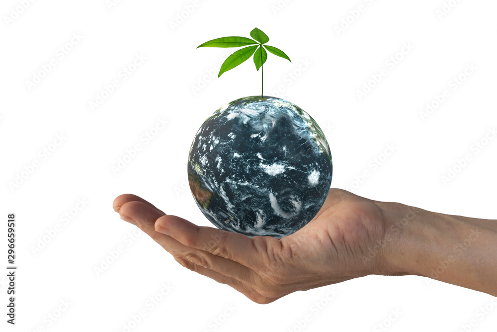 Planet Earth Is The Smallest