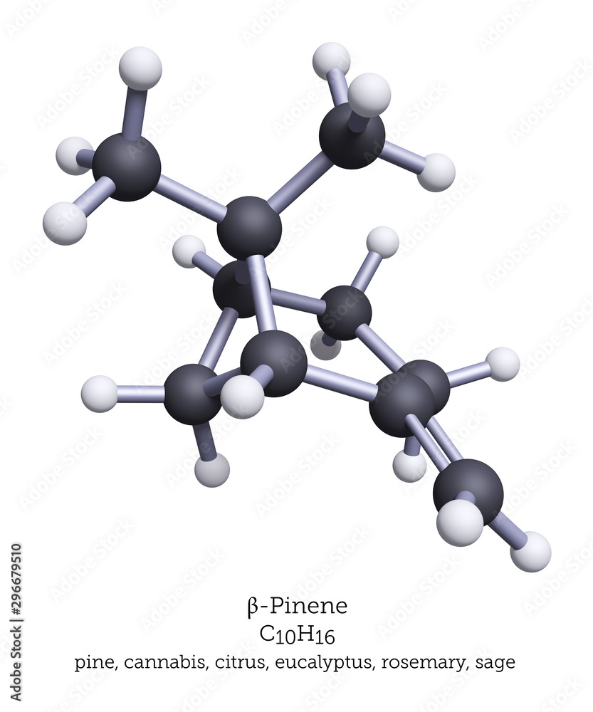 Pinene is the most widely distributed of all terpenes. The alpha and ...