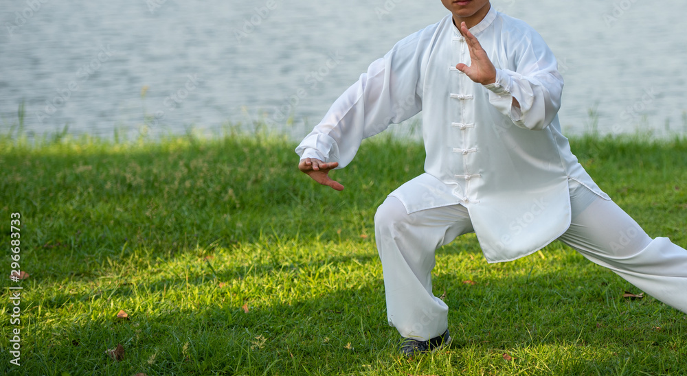 Tai Chi Chuan Master hands posture workout in the park, Chinese Martial ...