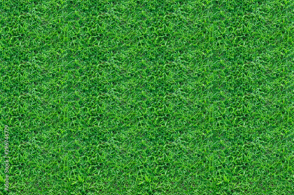 Green grass texture for background. Green lawn pattern and texture ...