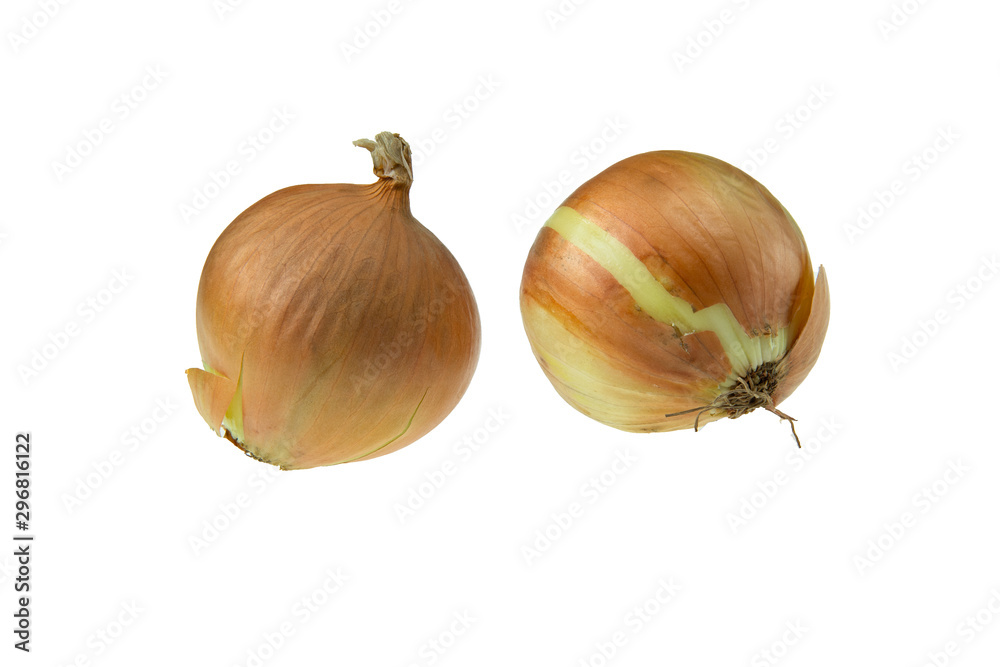 Cebula naturalna z wieskiego zbioru izolowana na białym tle Stock Photo ...