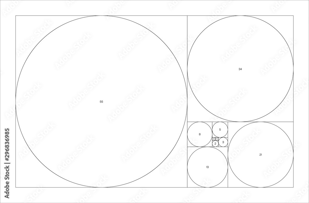Fibonacci sequence of circles. Golden ratio geometric concept. Vector ...
