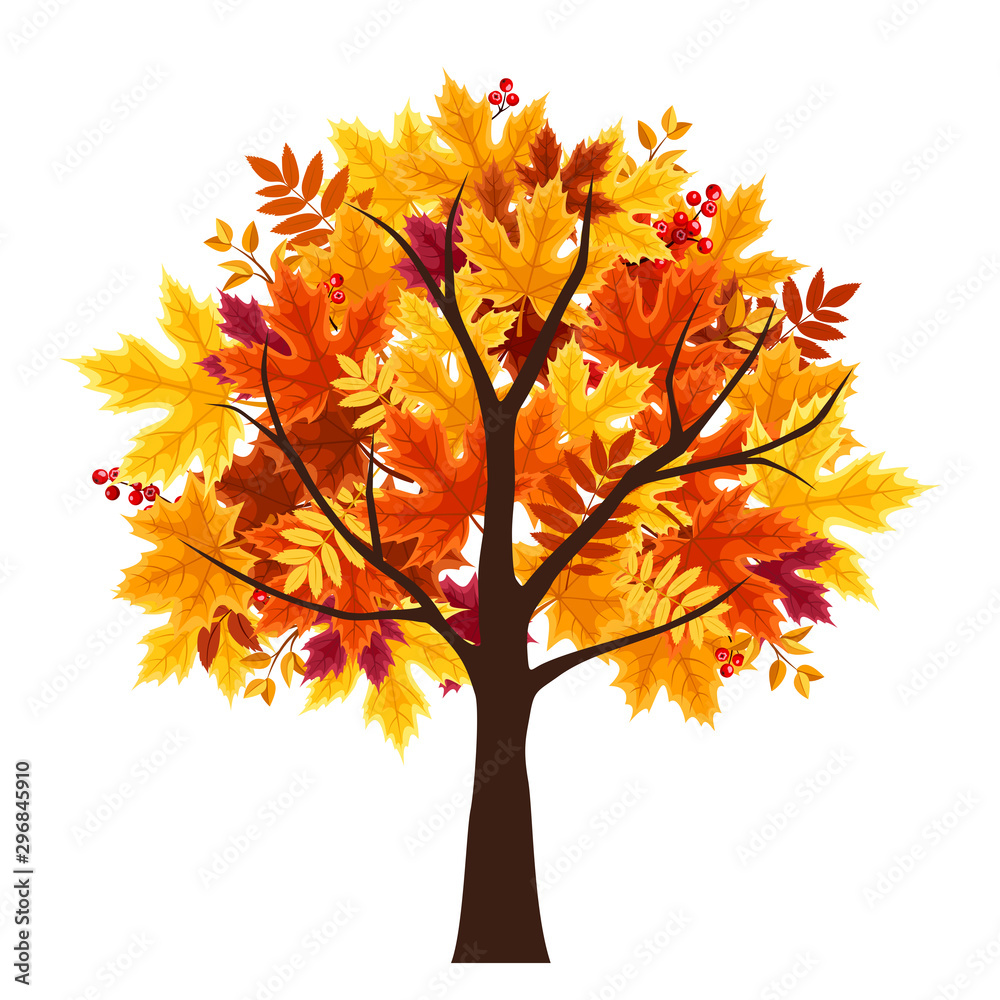 Vector abstract autumn tree isolated on a white background. Stock ...
