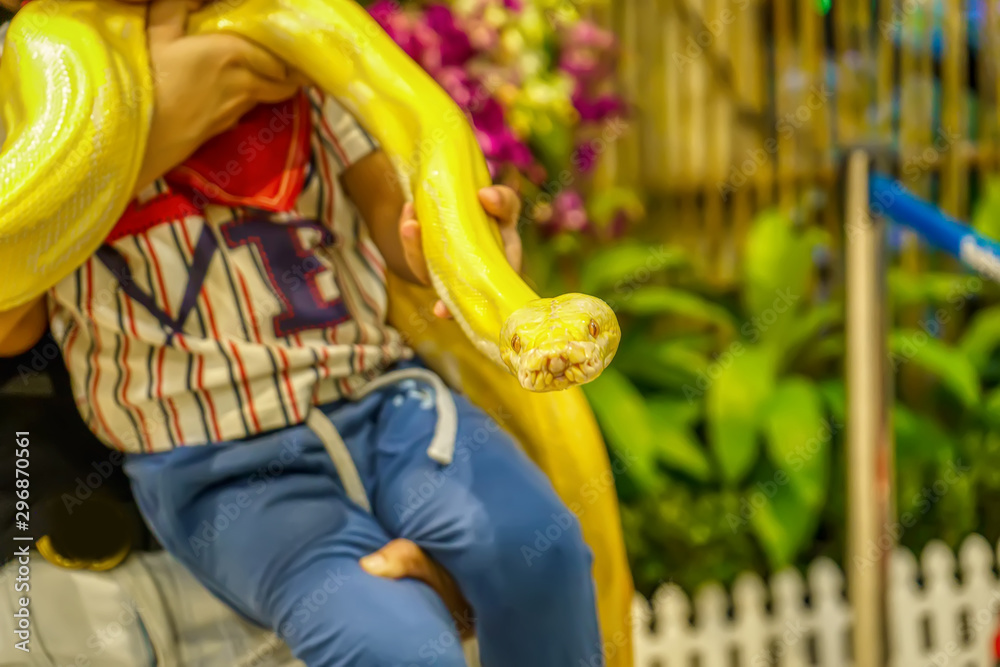 Albino burmese python wrapped around a boy. Its a popular pet in ...