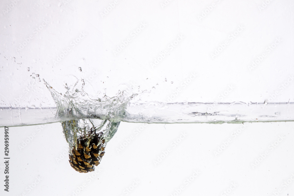 Water Splash Photography: a conifer cone falling in water creating a ...