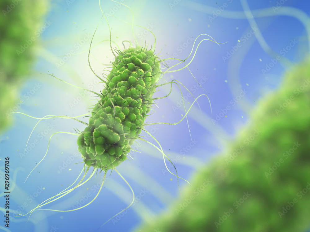 Poster Pathogenic Salmonella Bacteria, Microbiology and infectious ...