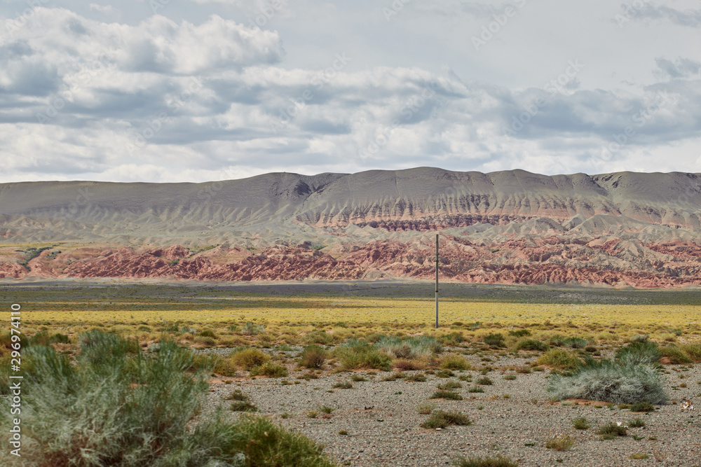 Plants In The Gobi Desert